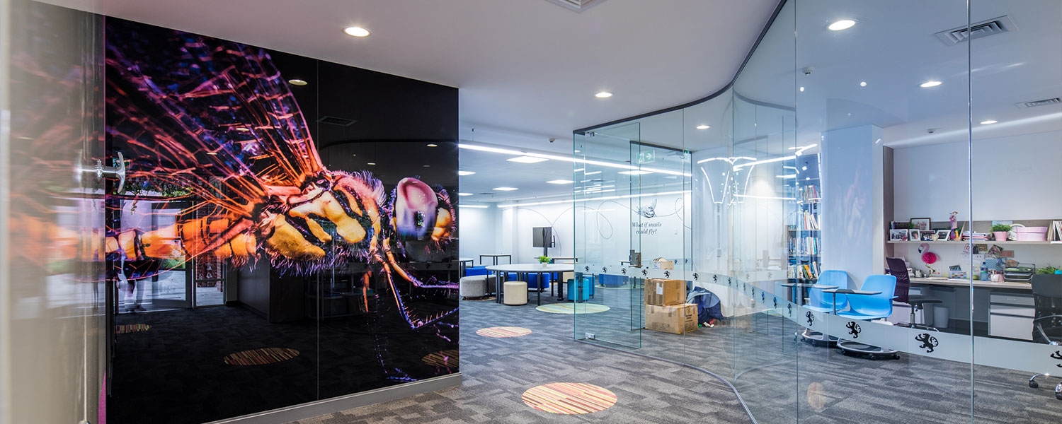 Wilderness School Science Facilities - Brown Falconer