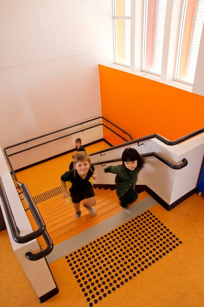 Magill Primary - Brown Falconer