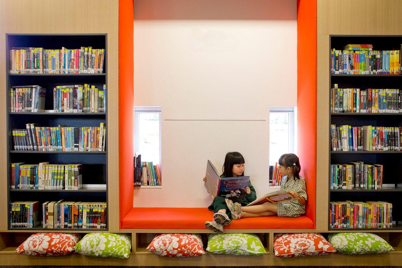 Magill Primary - Brown Falconer