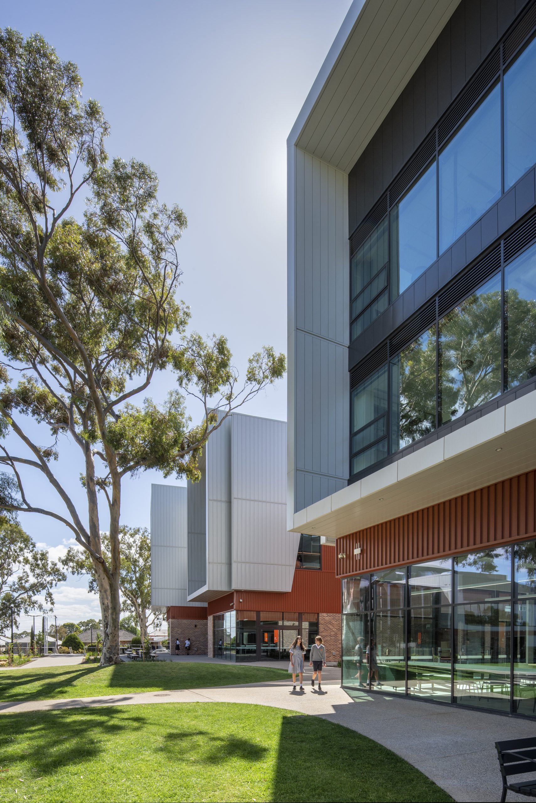 Morialta Secondary College - Brown Falconer